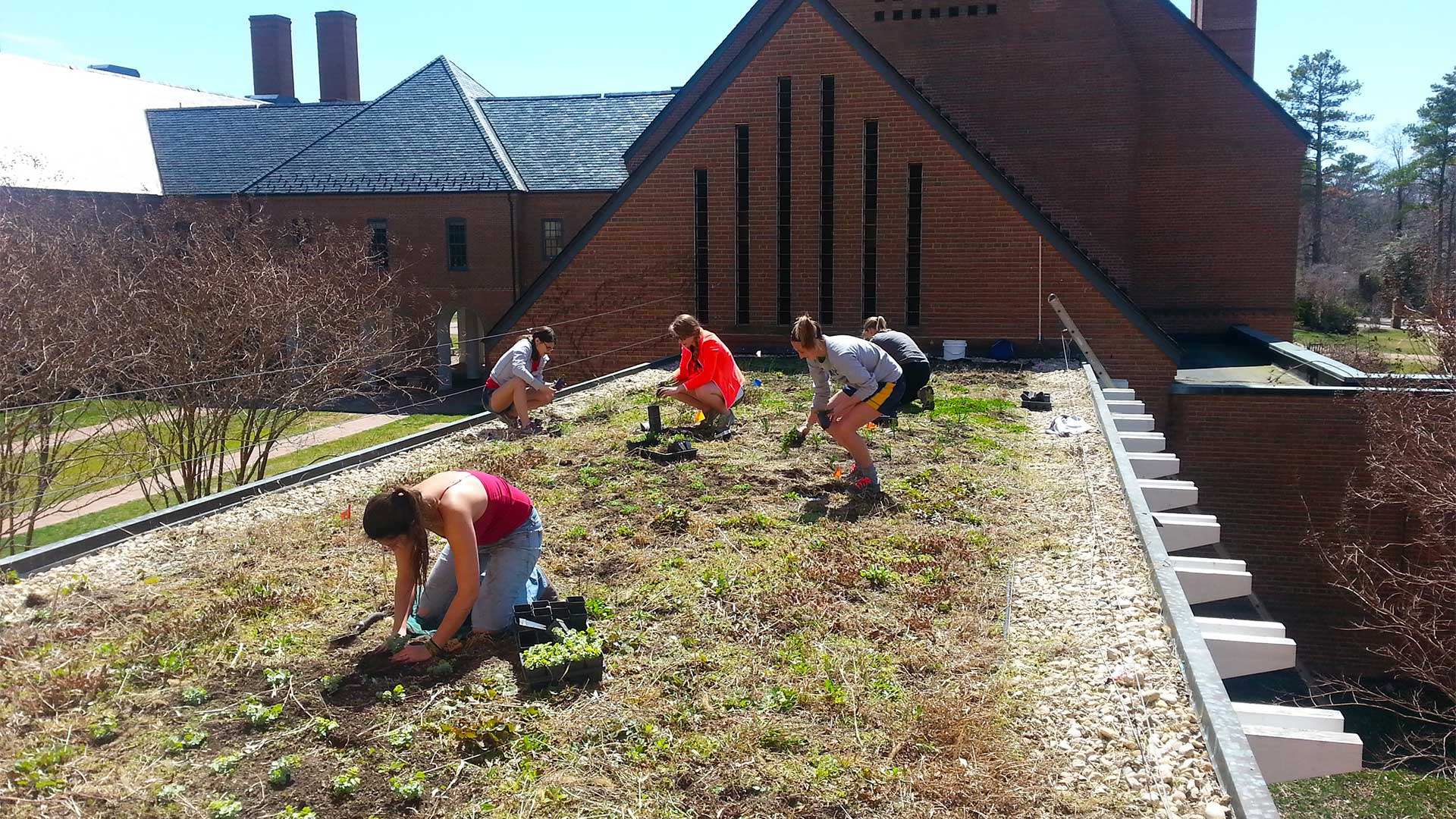 Sustainability Projects – Sustainability | SMCM