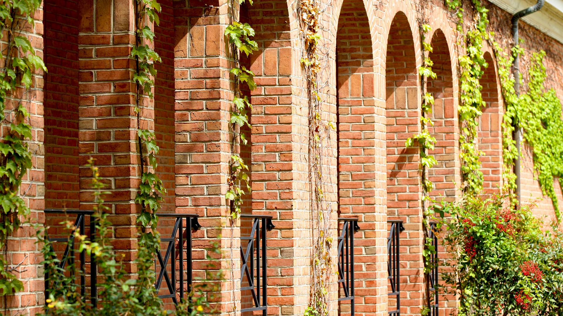 Admission Agreements – Office of Admission | SMCM