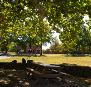 First-Year Students – Office of Admission | SMCM