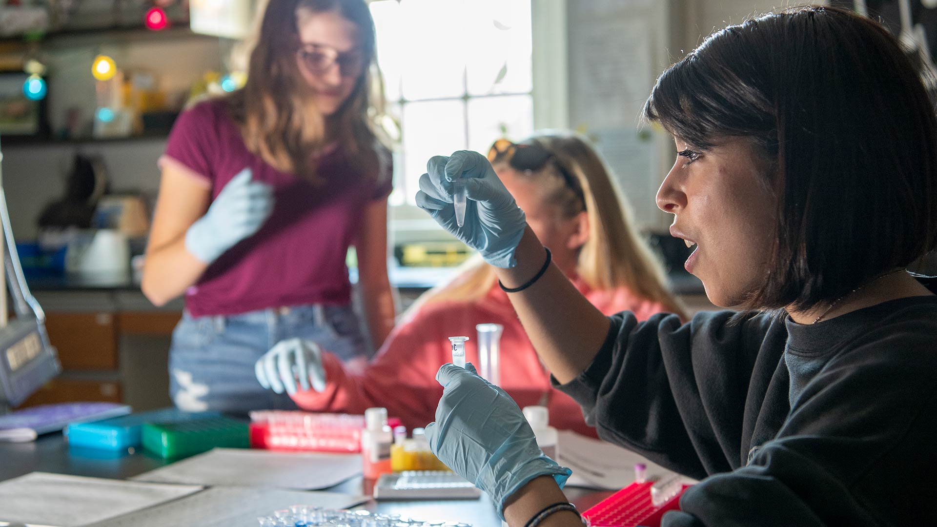 Women in Science LLC – Academics | SMCM
