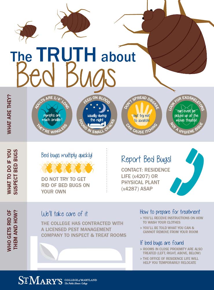 The Truth About Bed Bugs – Office of Residence Life | SMCM