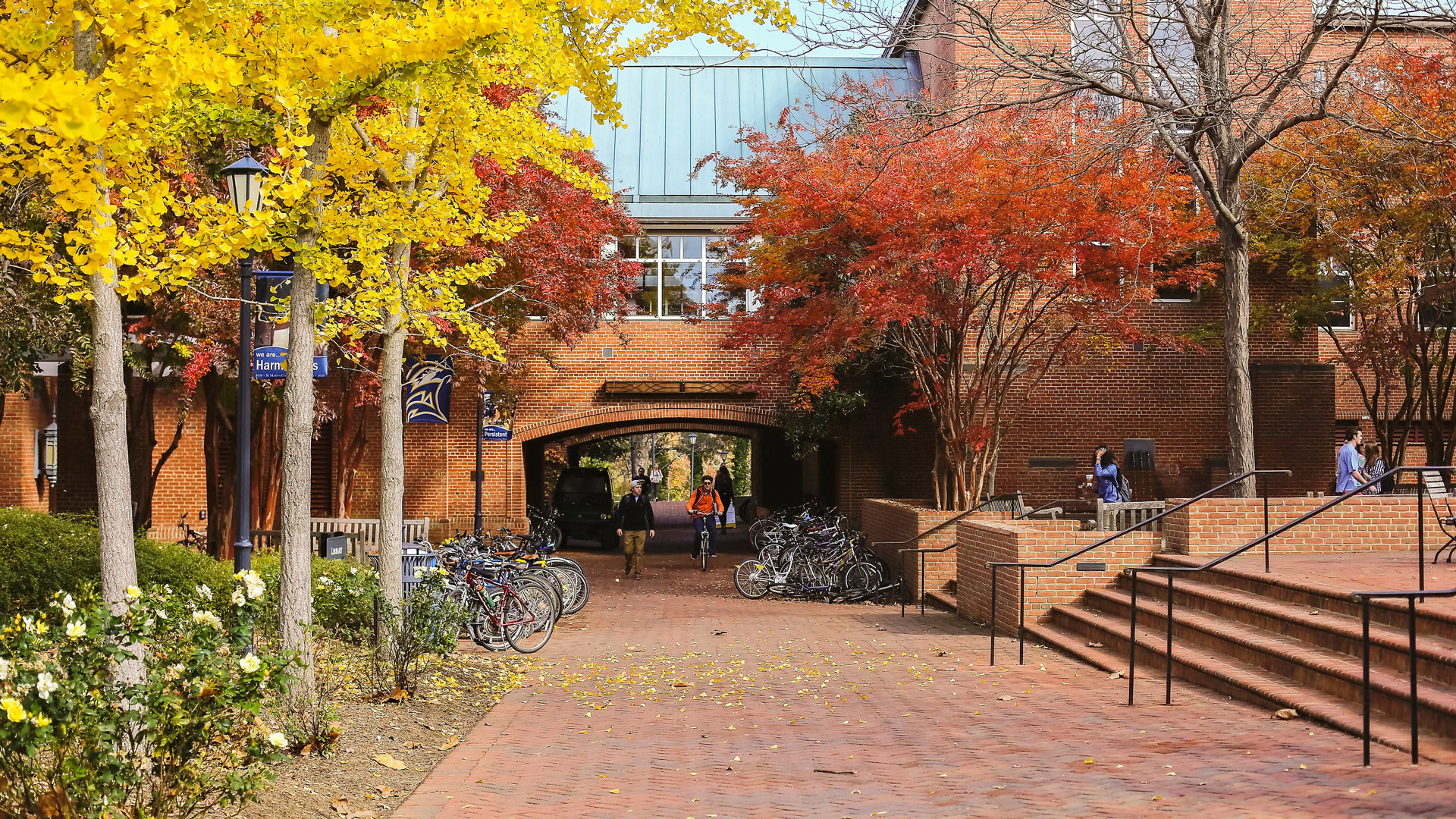 St. Mary's College of Maryland - St. Mary's College of Maryland
